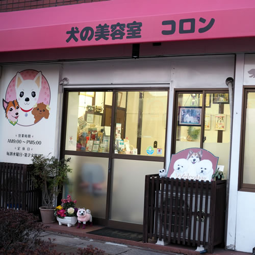 犬の美容室コロン | 岐阜市トリミングサロン ビションたちが元気にお出迎え♬