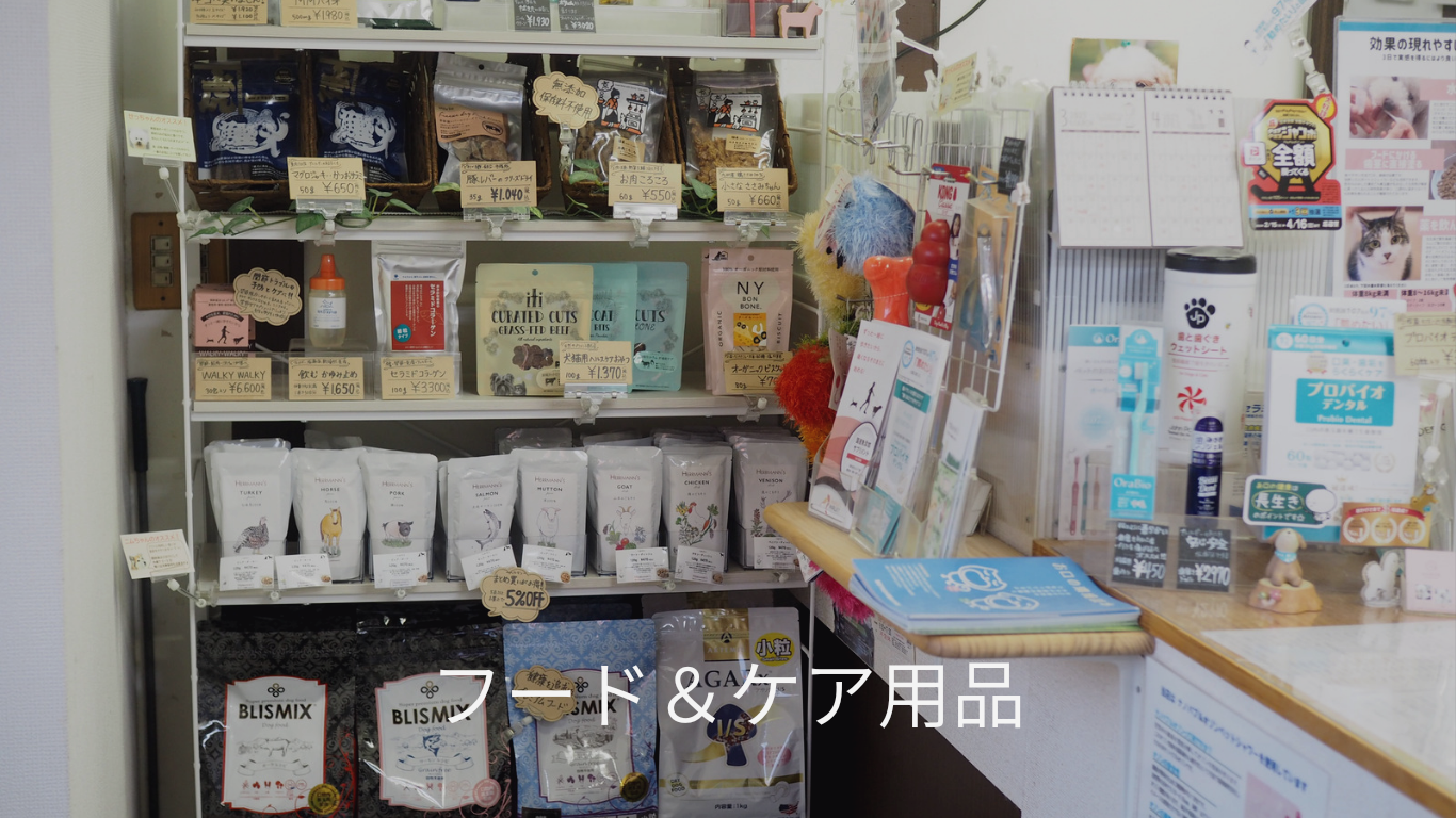 犬の美容室コロン | 岐阜市トリミング ビションたちが元気にお出迎え♬